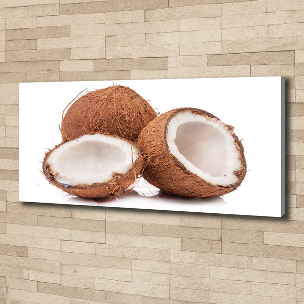 Brayden Studio Kokosnuss - Kunstdrucke auf Leinwand - Wrapped Canvas | Wayfair.de